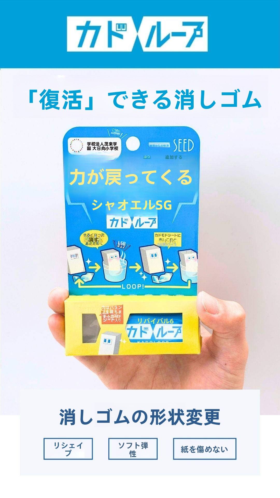 Seed Kadoloop Reshapable Eraser – Sumi
